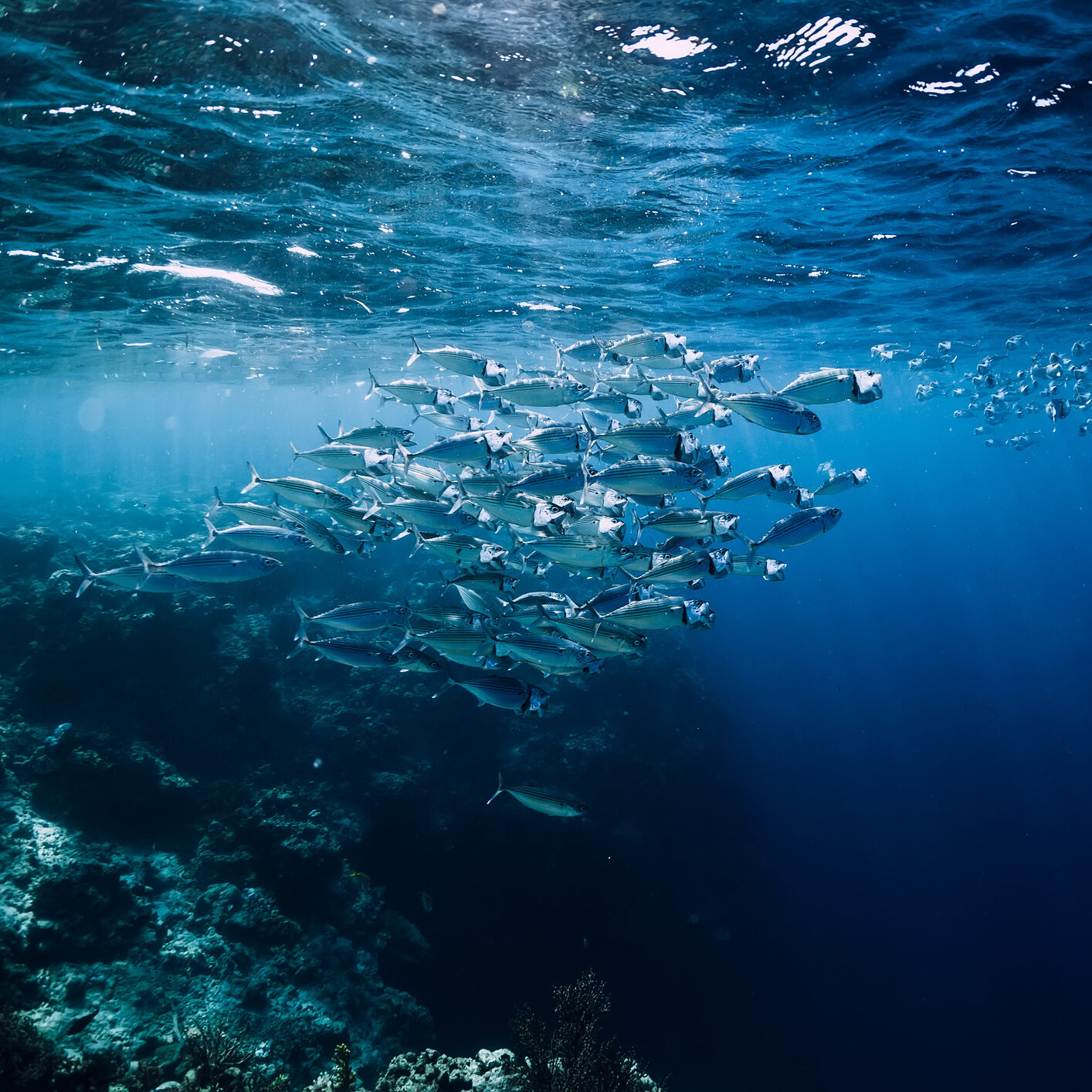 SWEN CP | A responsible investor in private markets