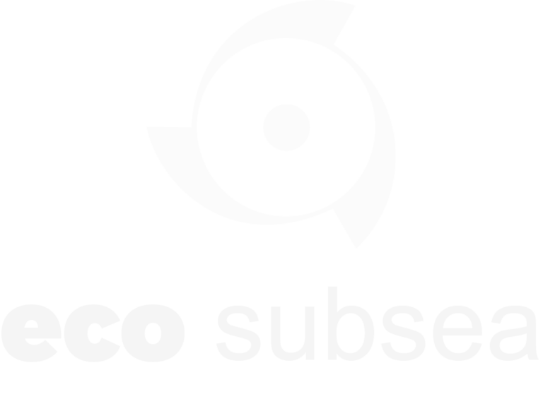 Blue Ocean, stratégie à impact | SWEN CP