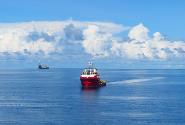 Blue Ocean, stratégie à impact | SWEN CP