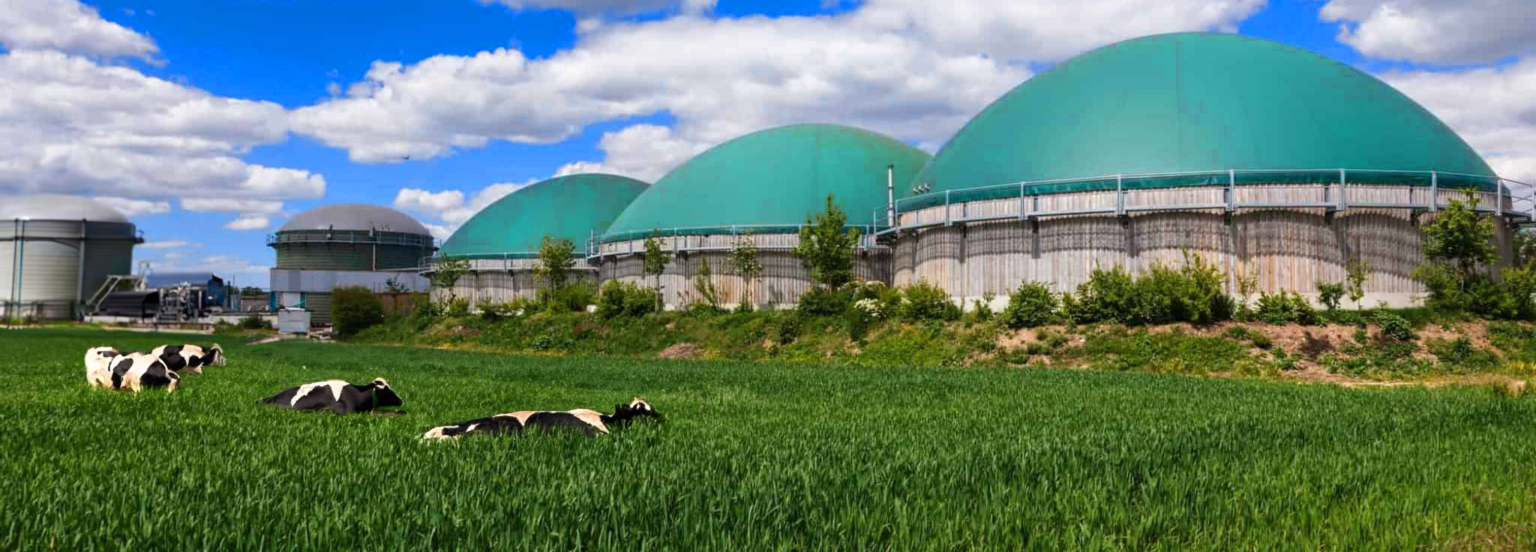 SWEN Select Infrastructures