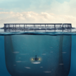Blue Ocean, stratégie à impact | SWEN CP