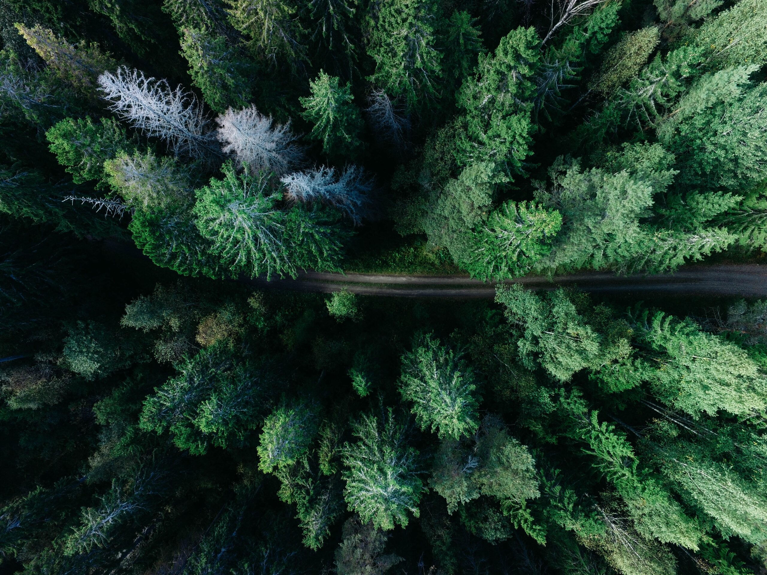 COP15: Swen Capital Partners committed to biodiversity - SWEN