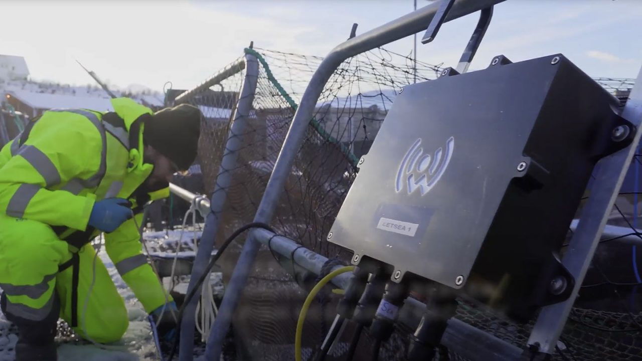 Blue Ocean, stratégie à impact | SWEN CP