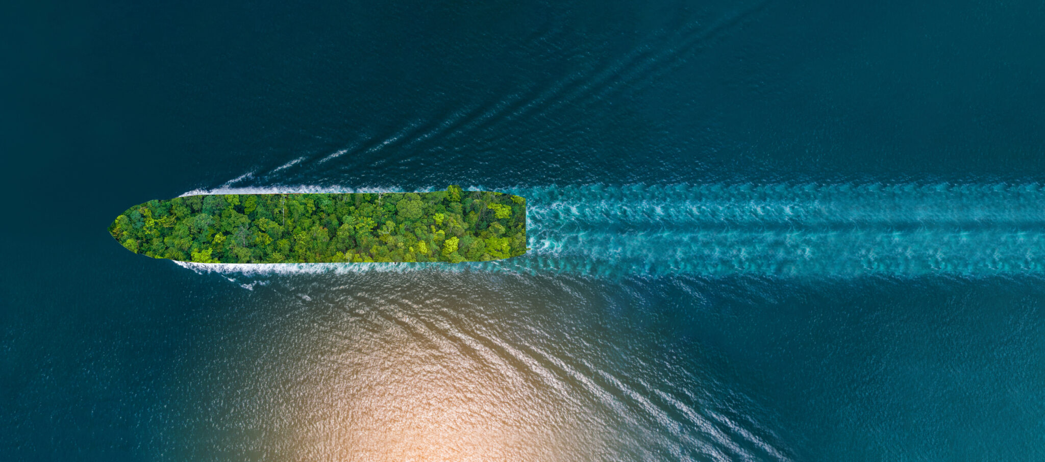 Blue Ocean, an impact strategy | SWEN CP