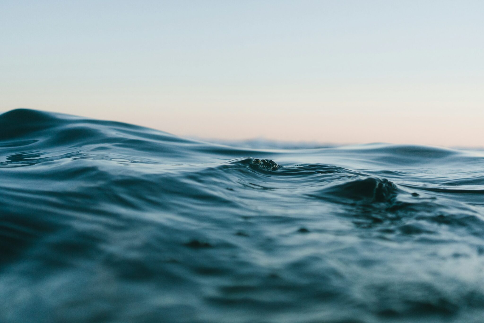 Blue Ocean, an impact strategy | SWEN CP